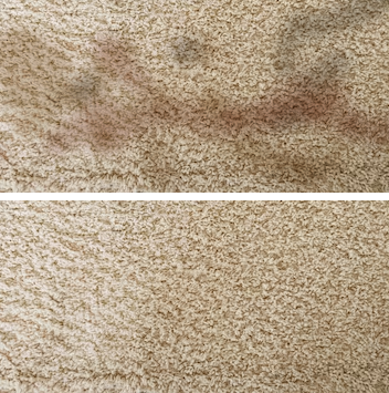 Home - Freedom Carpet Pros